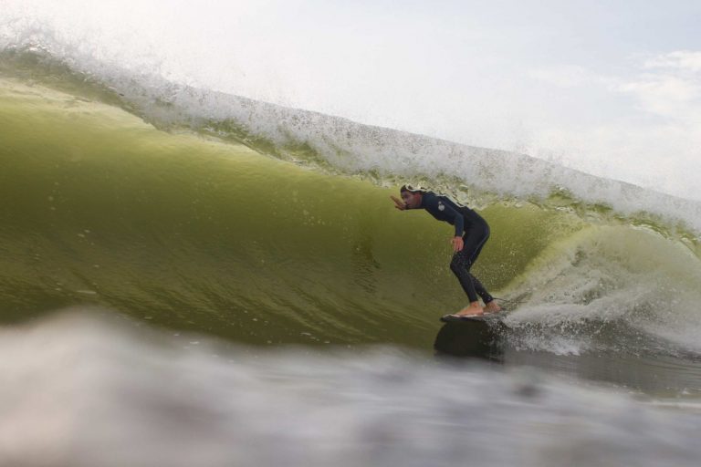 Sprout - Rozbern : Rozbern